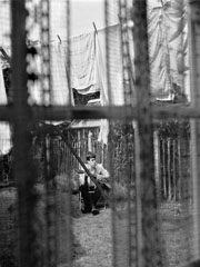 Fine Line (Piano/Voice/Guitar) Digital Sheet Music | Faber Music